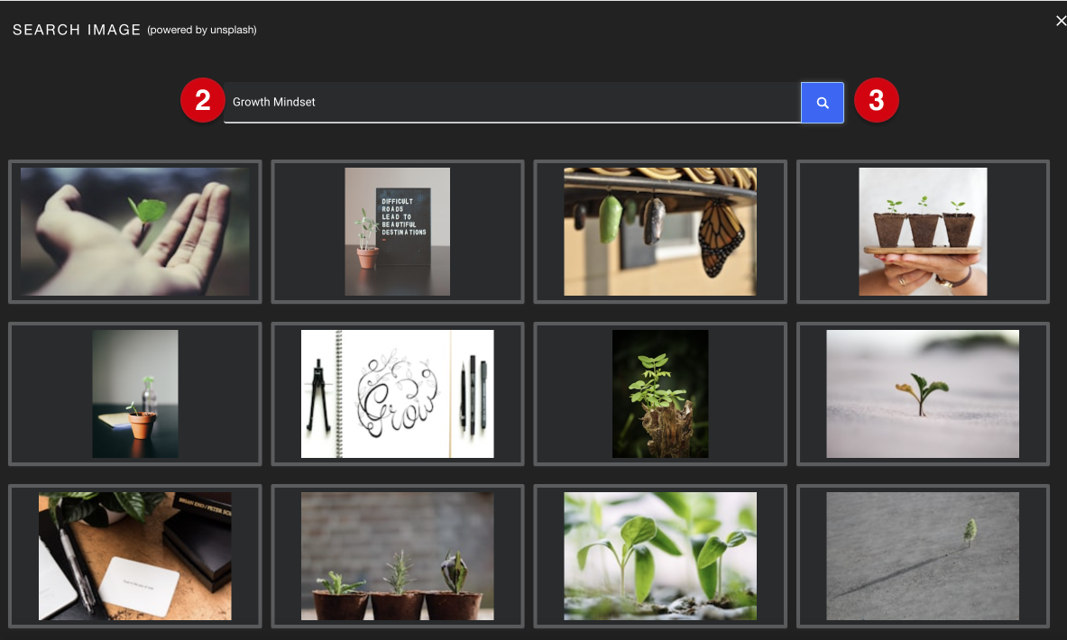 Image search – Digication Help Desk