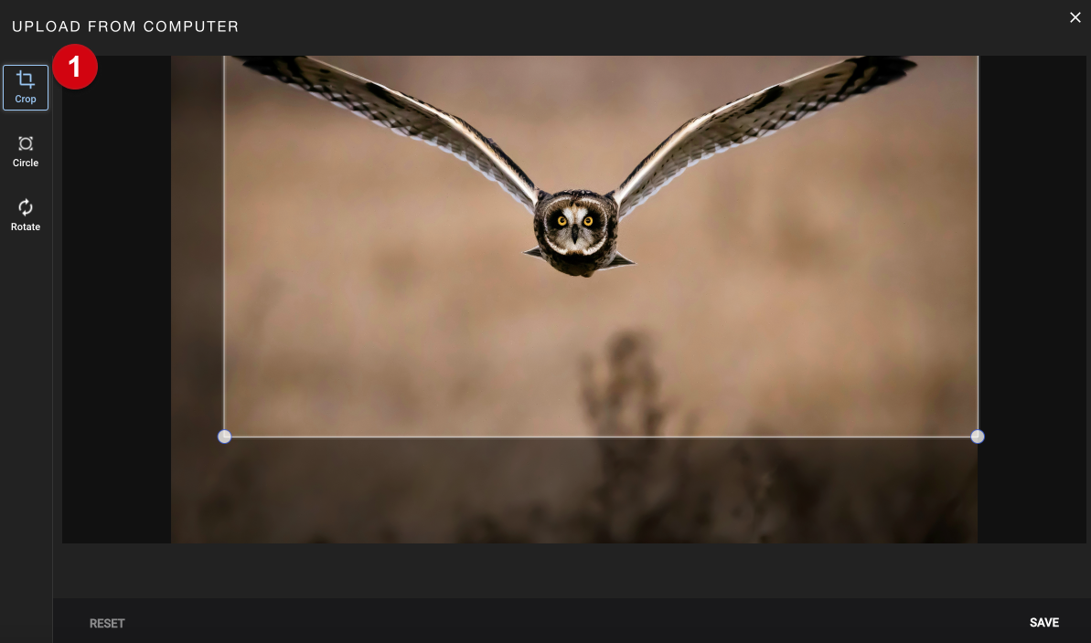 Image formatting guide – Digication Help Desk