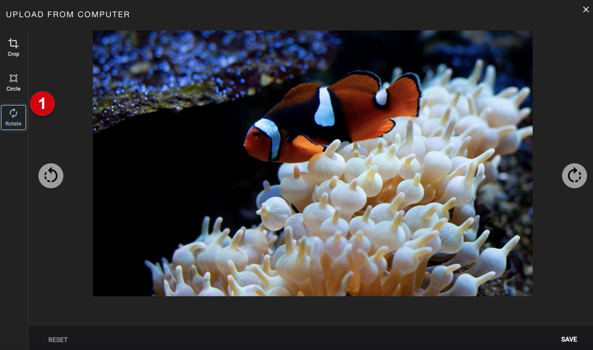 Image formatting guide – Digication Help Desk