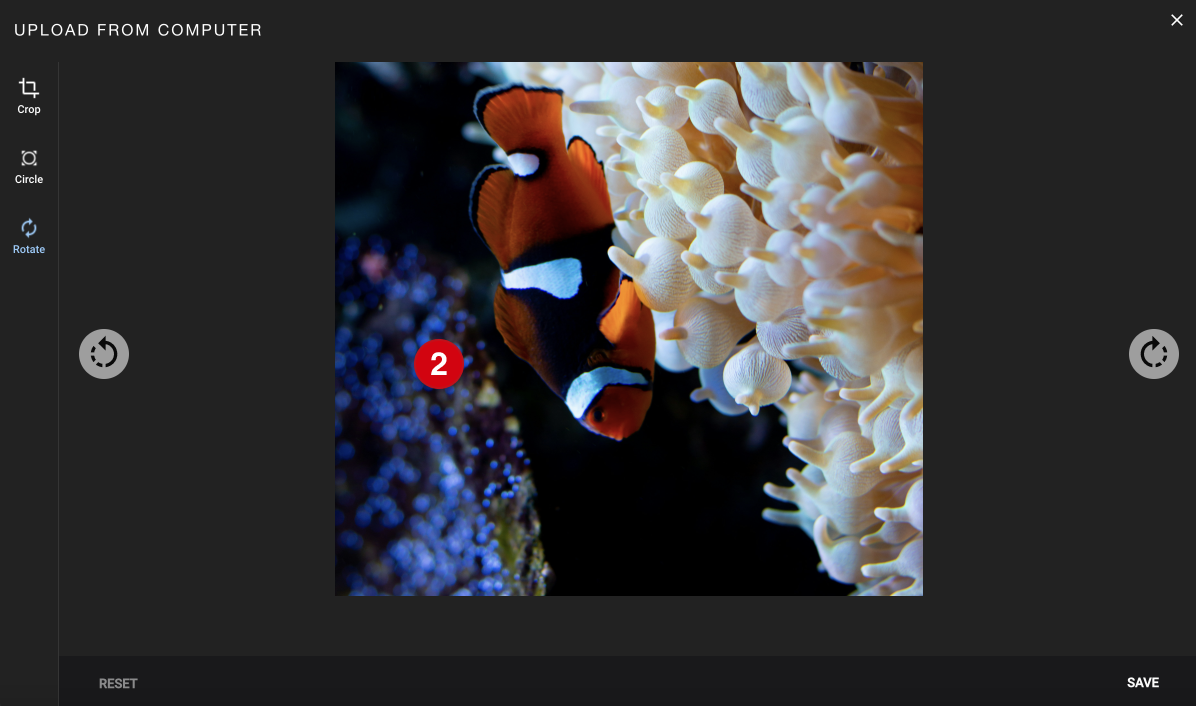 Image formatting guide – Digication Help Desk