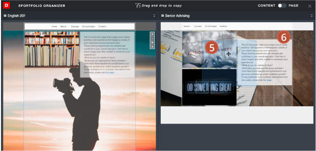 ePortfolio Organizer – Digication Help Desk