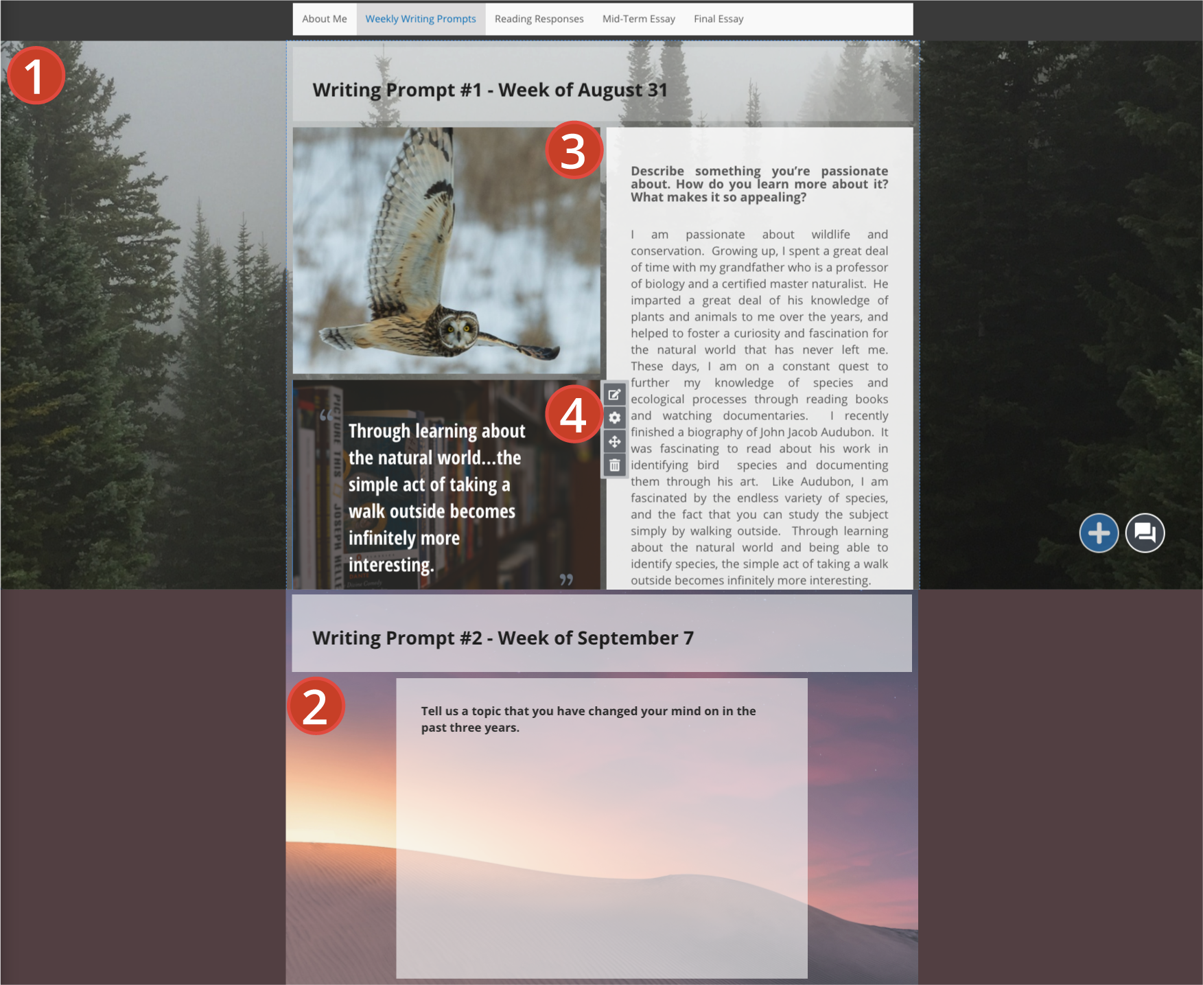 Image formatting guide – Digication Help Desk